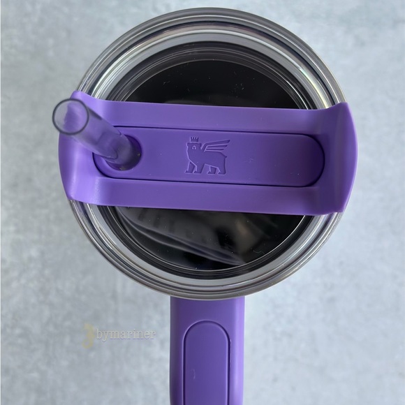 Stanley | Kitchen | Stanley Dahlia Shimmer Tumbler With Handle 2 Oz ...